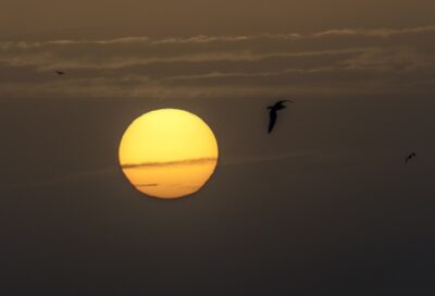 EL SOL INVICTO: UNA DEIDAD SOLAR Y SU LEGADO - Manizales Naturismo